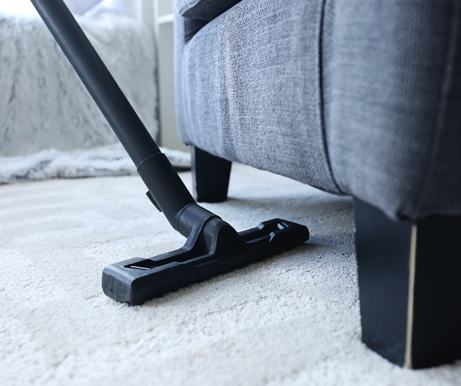 How to Prevent Mold and Mildew in Carpets in Bothell! - Five Star Chem Dry